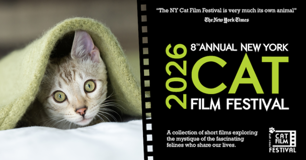 NY Cat Film Festival | Symphony Space